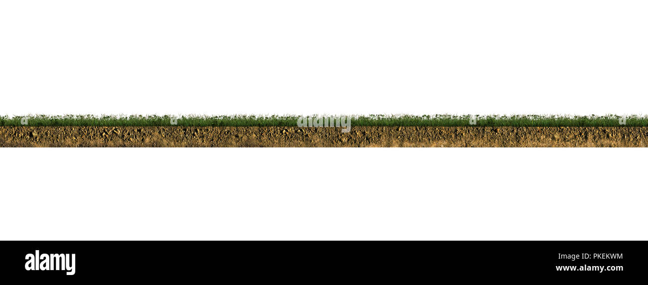 grass section isolated on white background 3d illustration Stock Photo ...