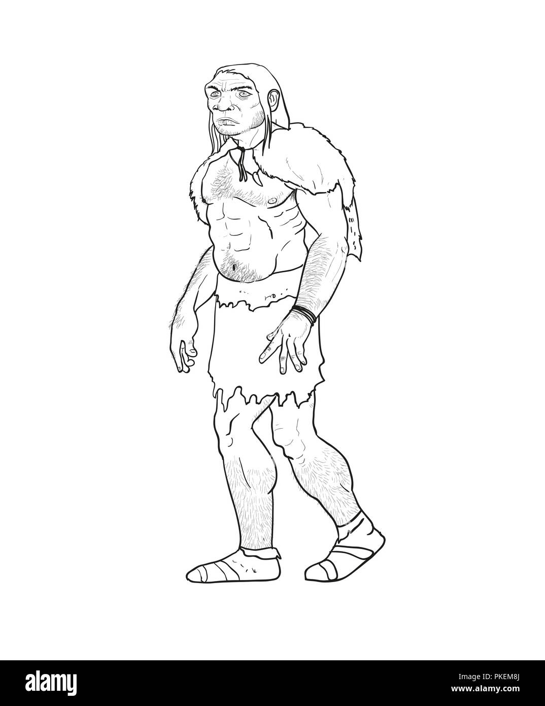 Human evolution digital illustration, homo erectus, australopithecus ...