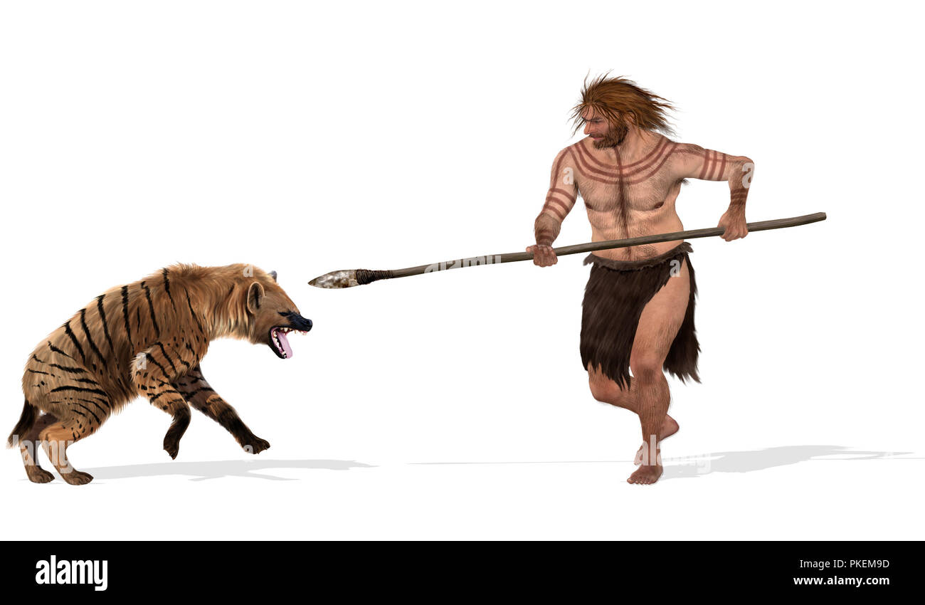 Digital illustration of a fight between a cave hyenna and a neanderthal ...