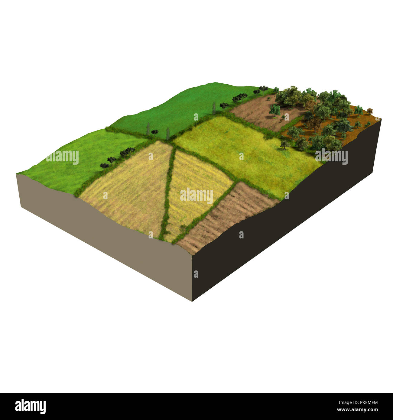 farmland 3d model ecosystem, digital illustration Stock Photo - Alamy