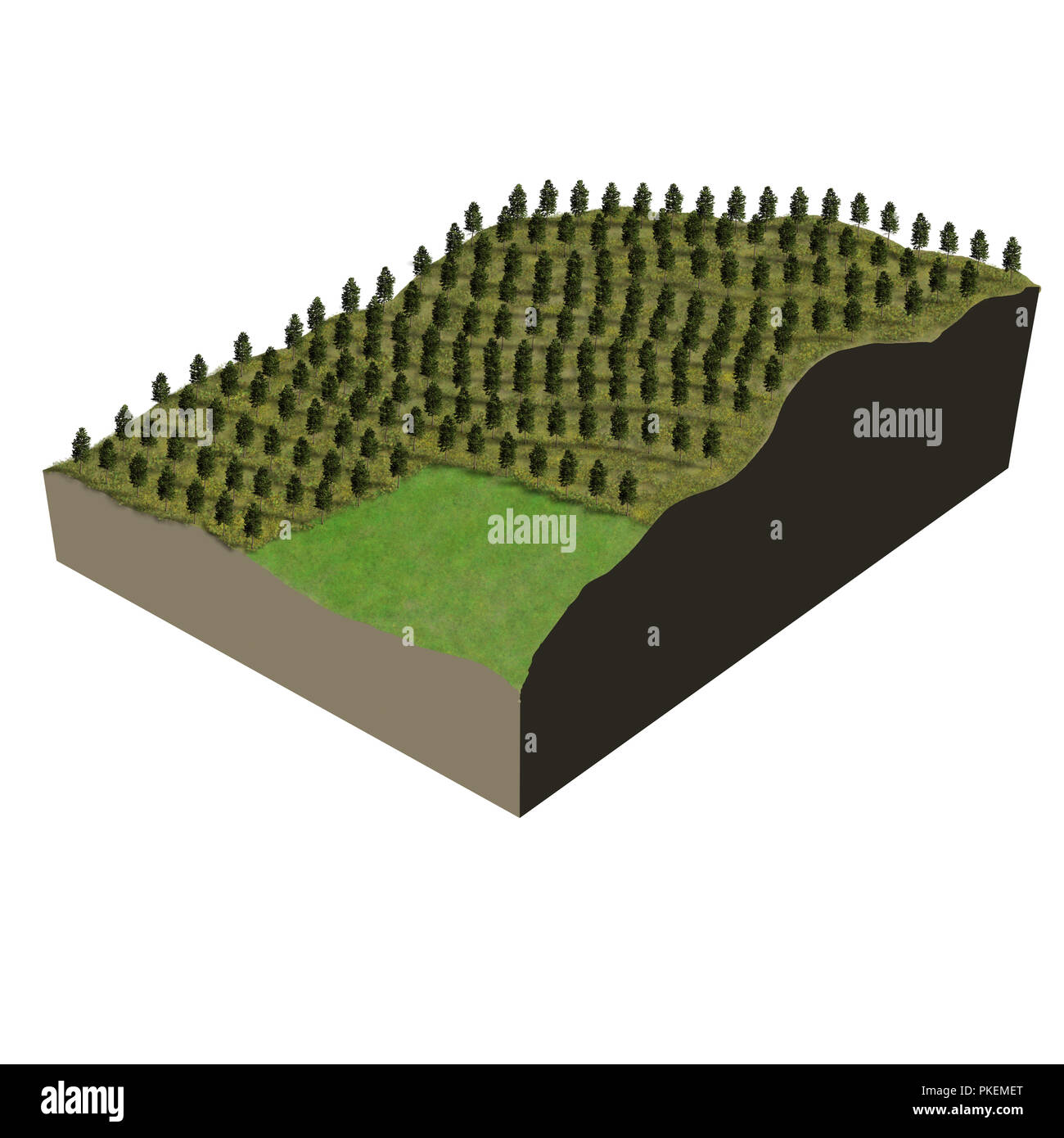 Digital Terrain Model Vegetation at Rodney Hickman blog Digital Terrain Model Vegetation at Rodney Hickman blog