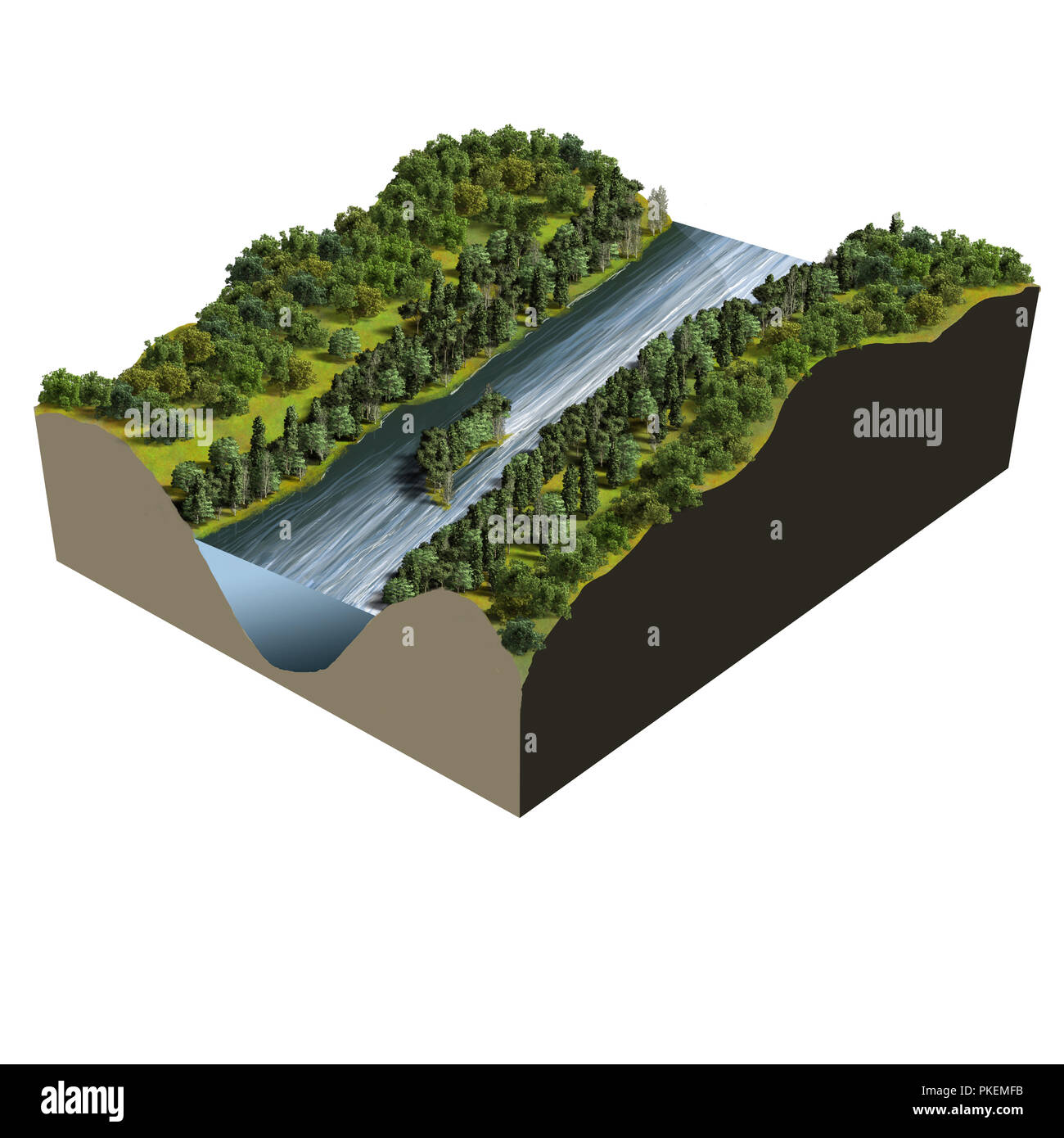 Digital Terrain Model Vegetation at Rodney Hickman blog Digital Terrain Model Vegetation at Rodney Hickman blog