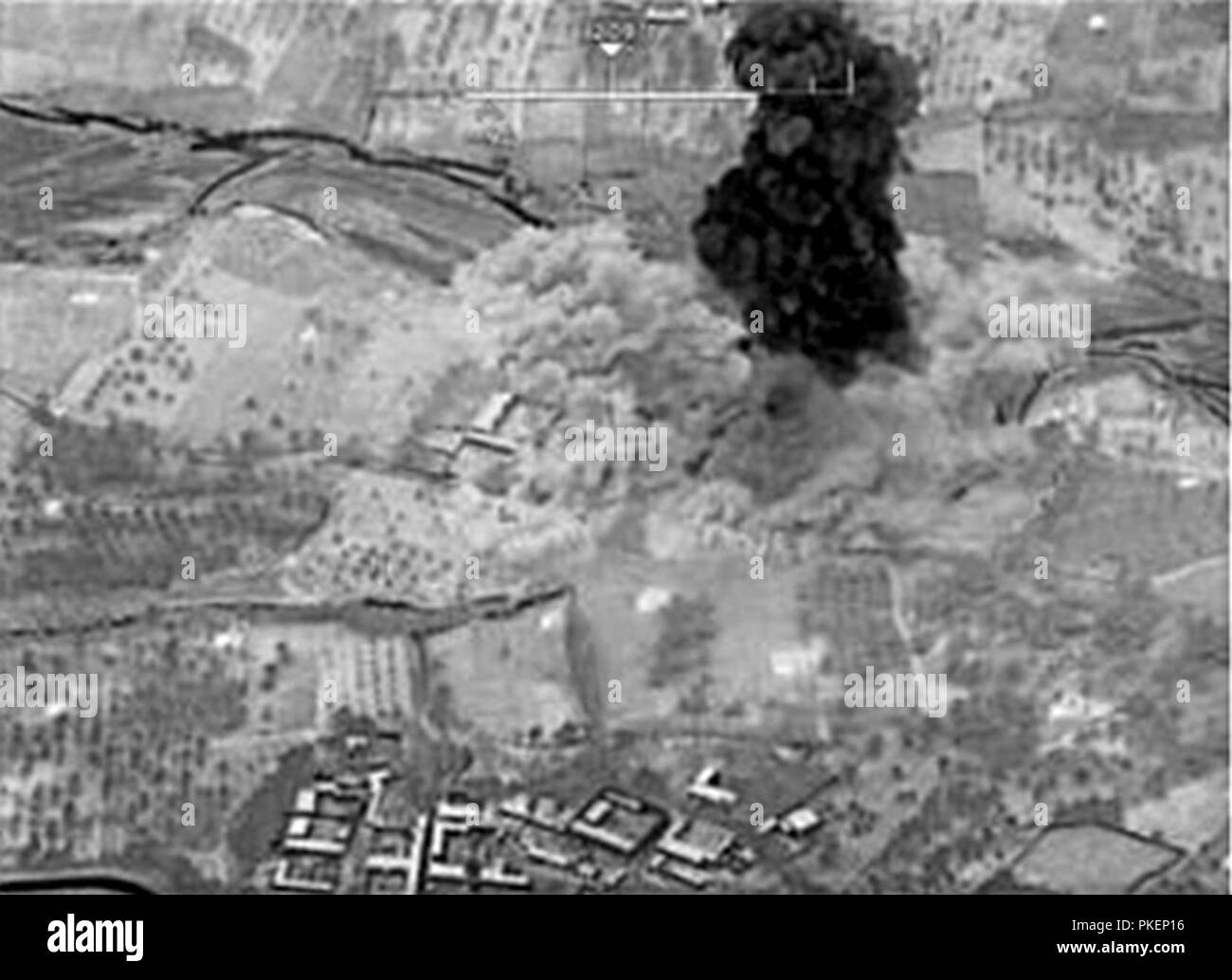 Tarin kot hi-res stock photography and images - Alamy