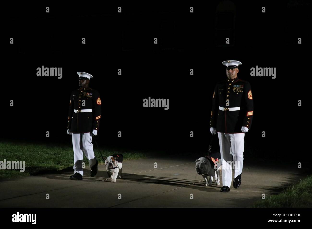 Gunnery Sgt. John E. Jackson, acting mascot handler, and SSgt ...