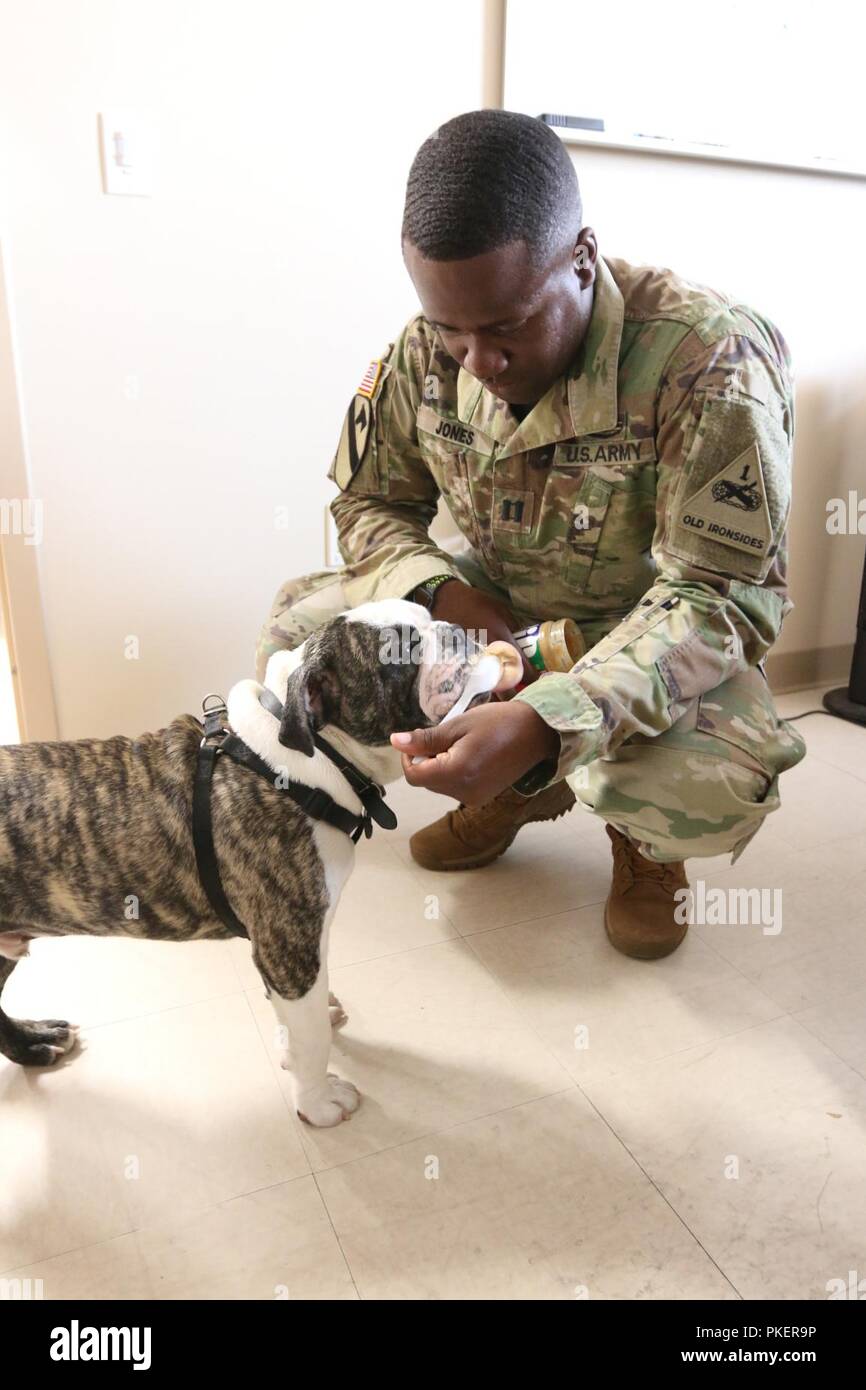 Capt. Jeremy Jones, commander, Company B, 123rd Brigade Support ...