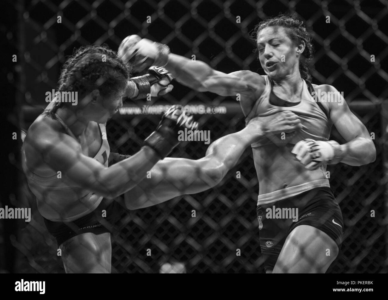 Victoria leonardo hi-res stock photography and images - Alamy