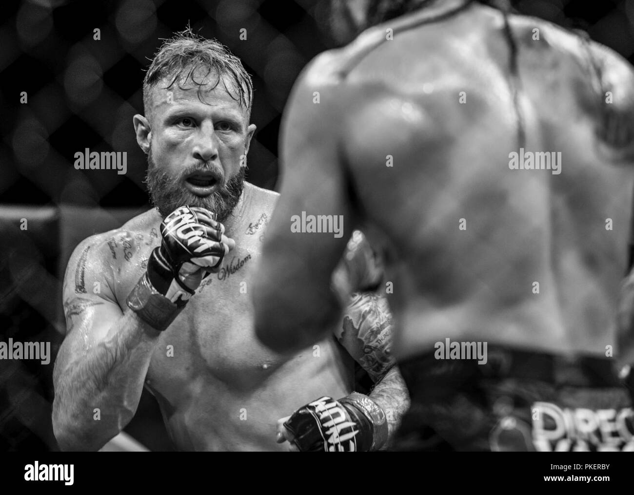 Legacy fighing alliance hi-res stock photography and images - Alamy