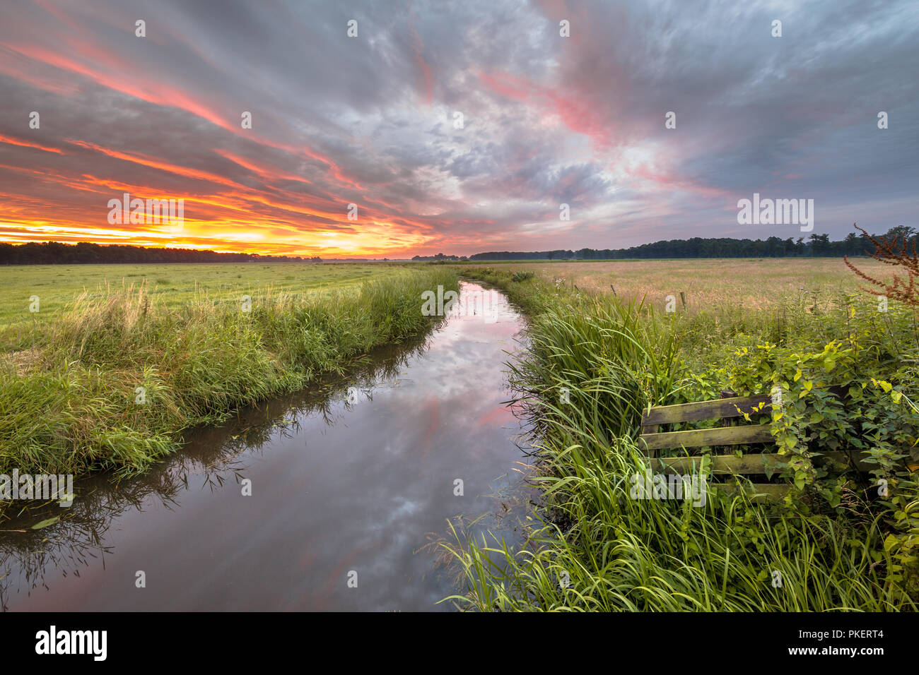 Warm summer sunrise over lowland river Grootdiep near Oosterwolde ...