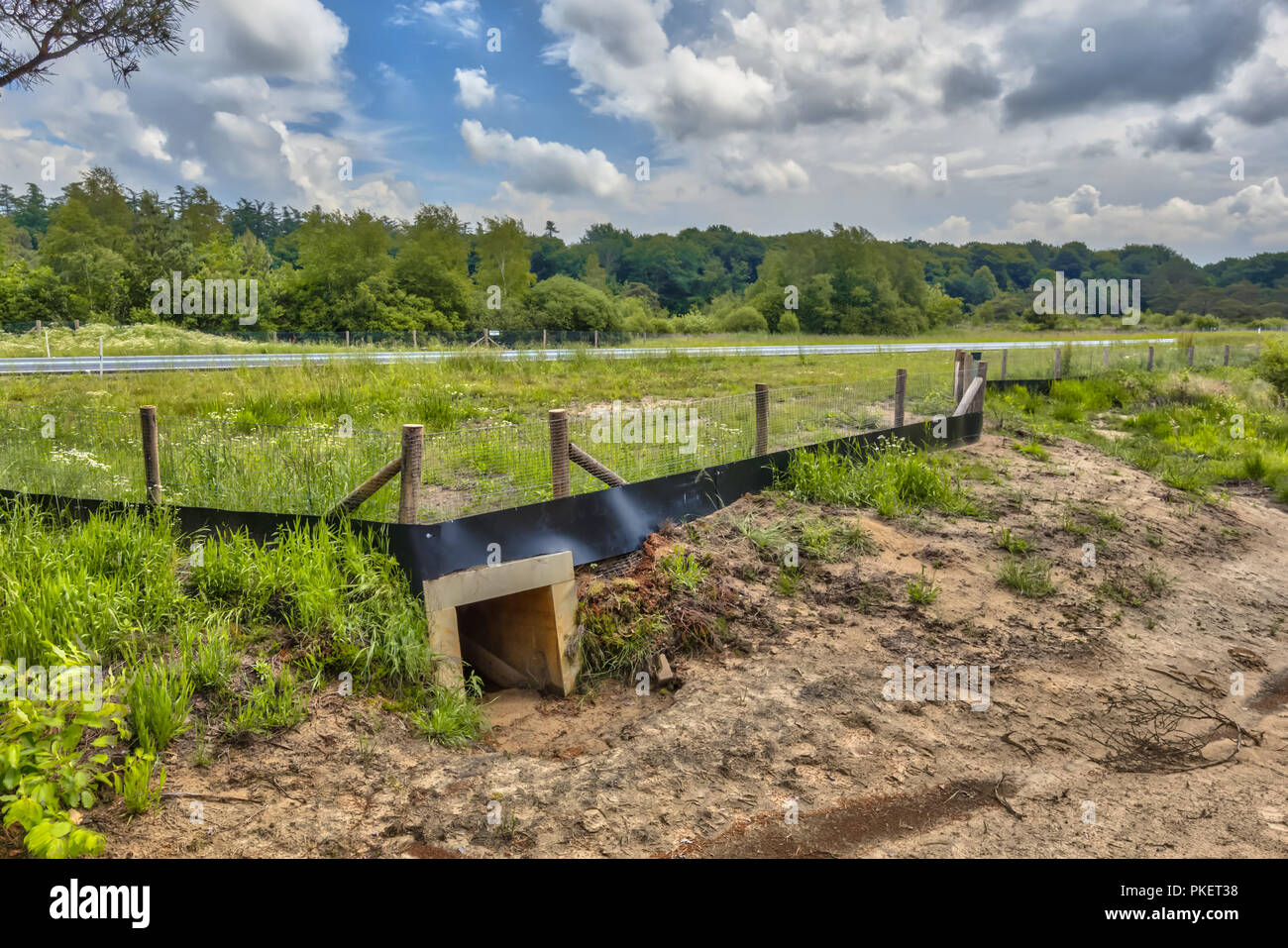 Animal crossing road tunnel hi-res stock photography and images - Alamy