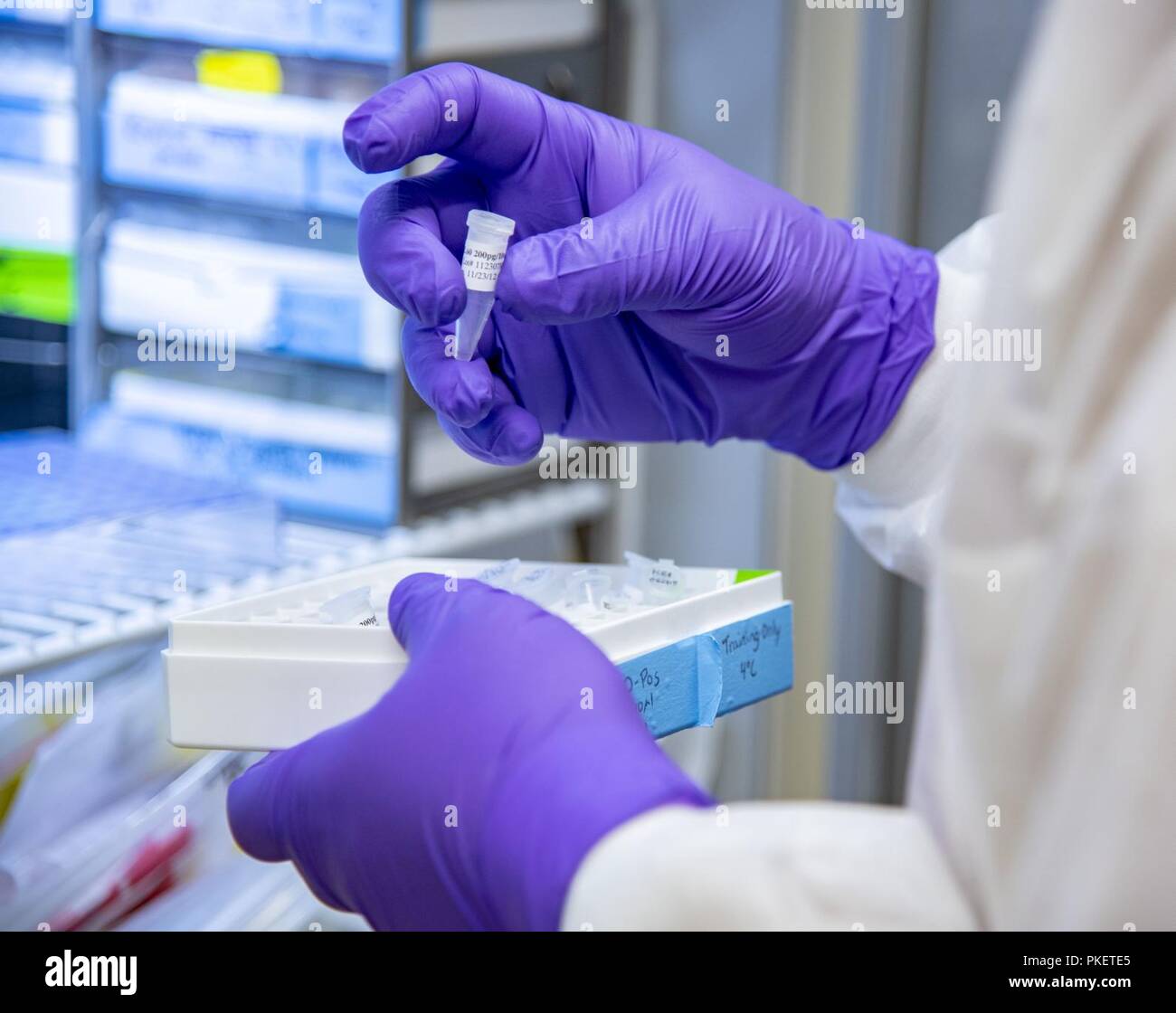 Sean Patterson, ARP Sciences, LLC, quality management section DNA ...