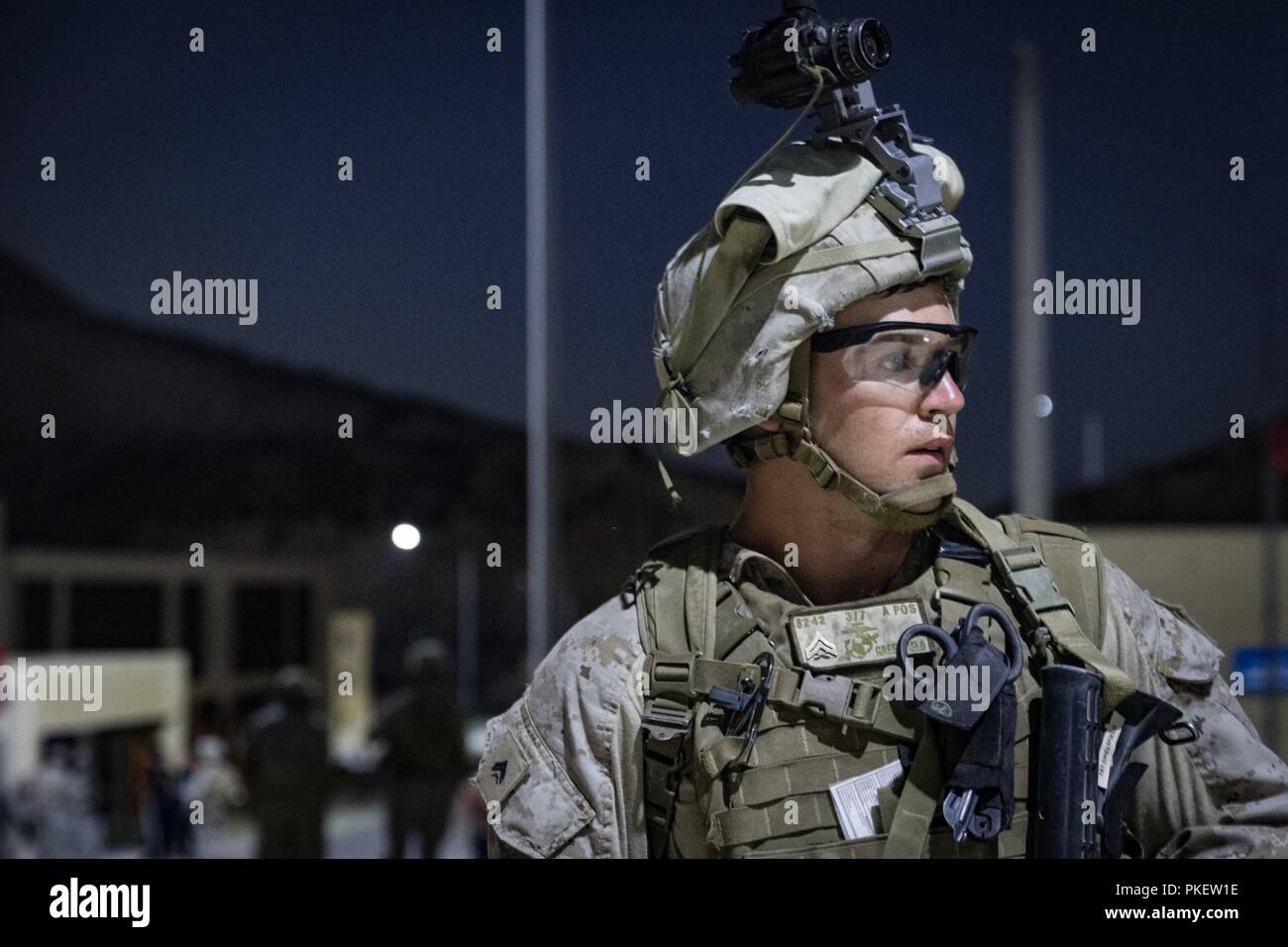 Seahorse battalion hi-res stock photography and images - Alamy