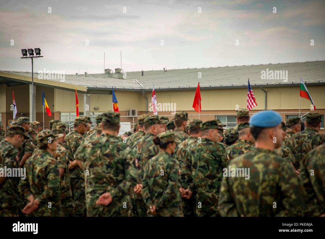Military service members from eight different Allied and partner ...