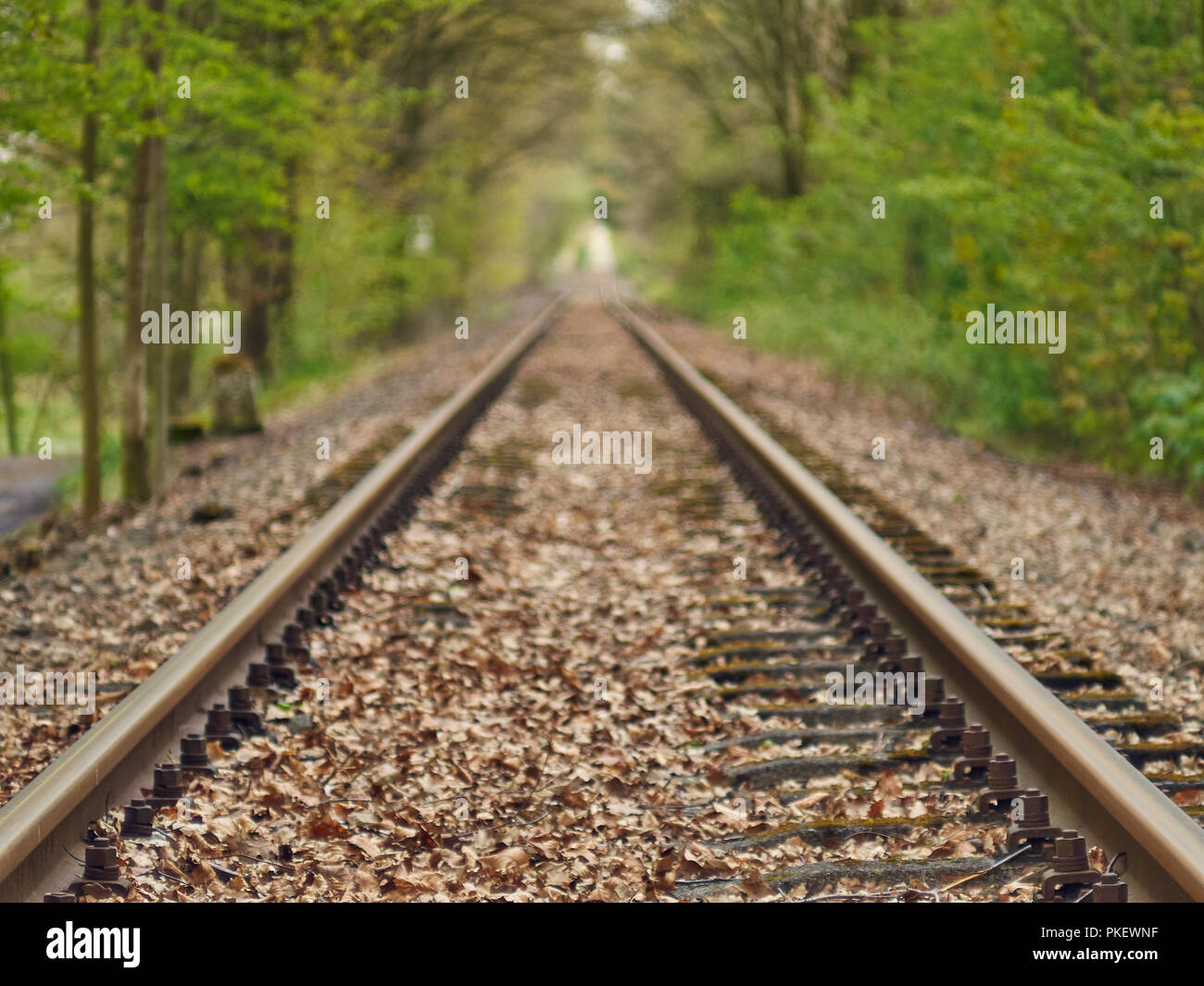 Out of service rail line hi-res stock photography and images - Alamy