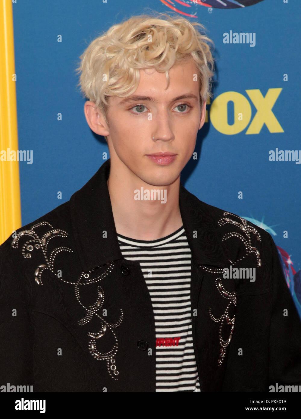 Celebrities attend Teen Choice Awards 2018 at The Forum. Featuring ...