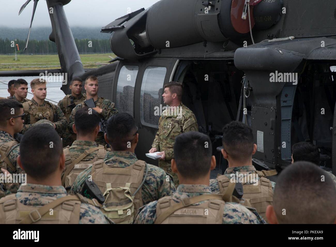 Marines competing in the 4th Marine Division Annual Rifle Squad ...