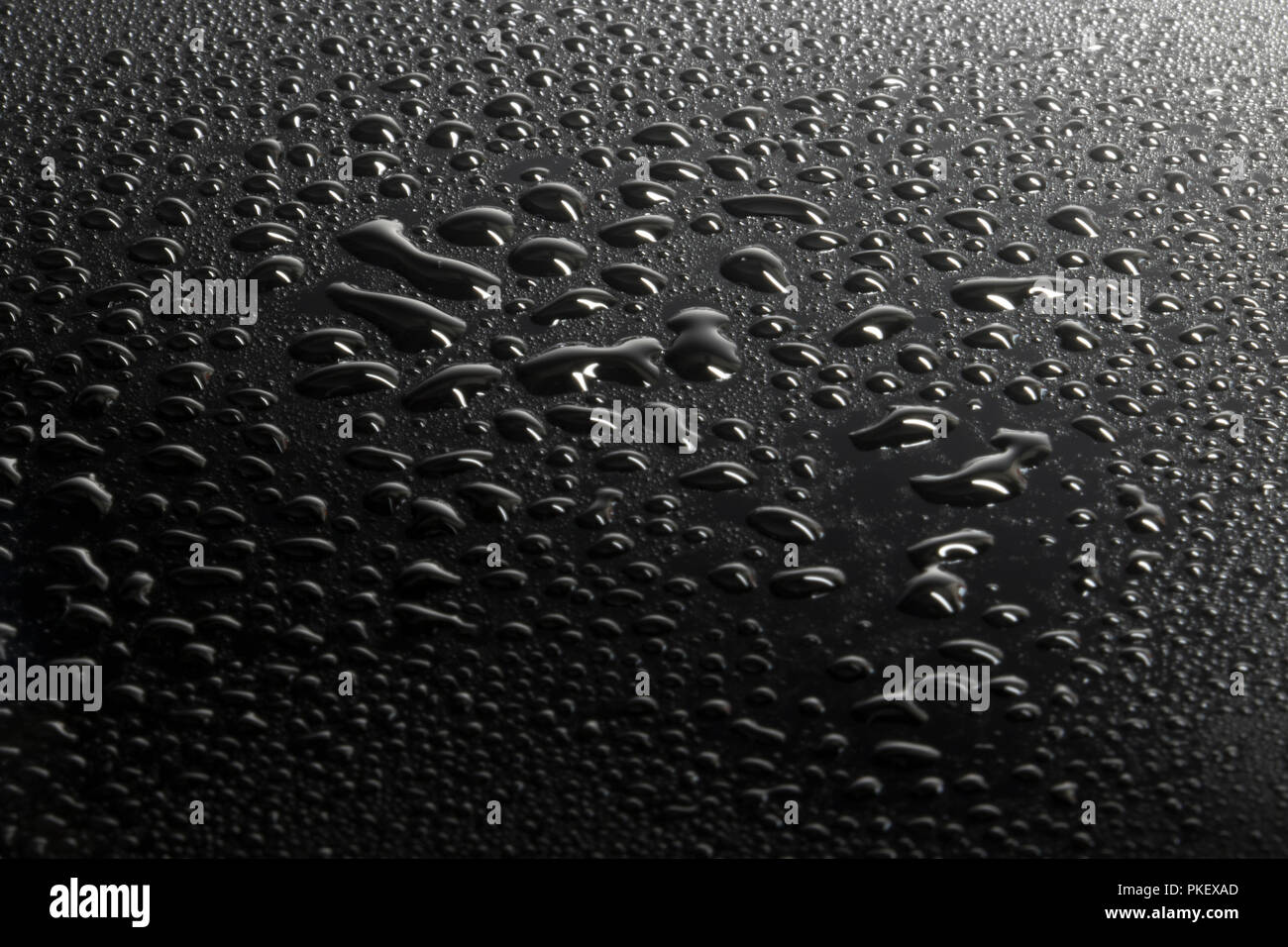 Water background on black. Dew texture of water drops. Condensation on ...