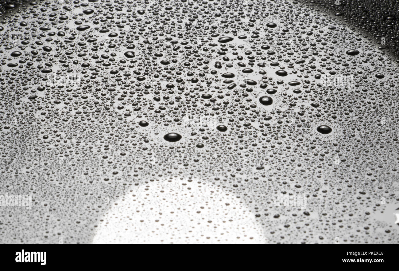 Dew and water drops on a shiny surface. Texture of water Stock Photo ...
