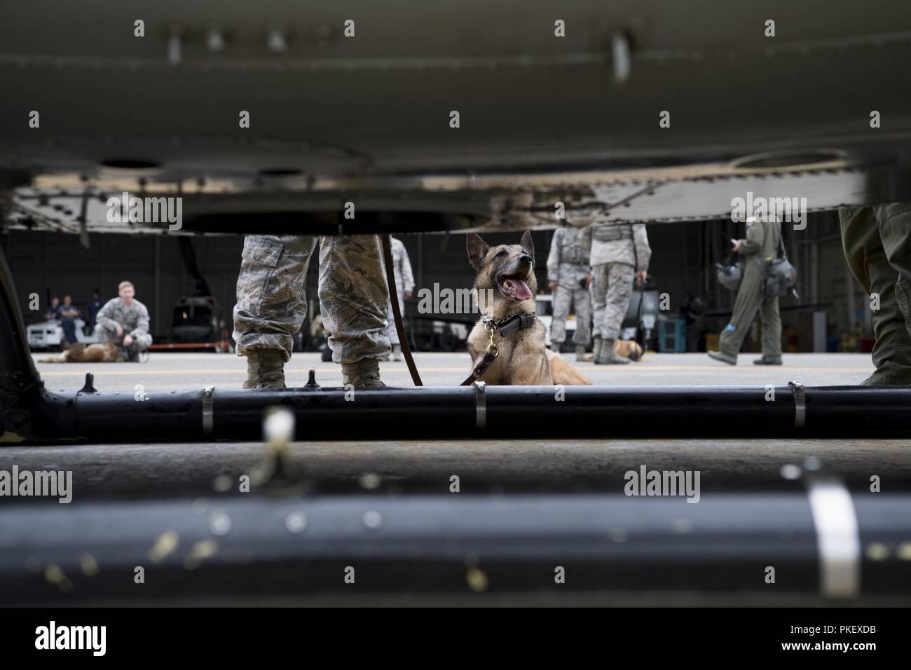 374th security forces squadron hi-res stock photography and images - Alamy