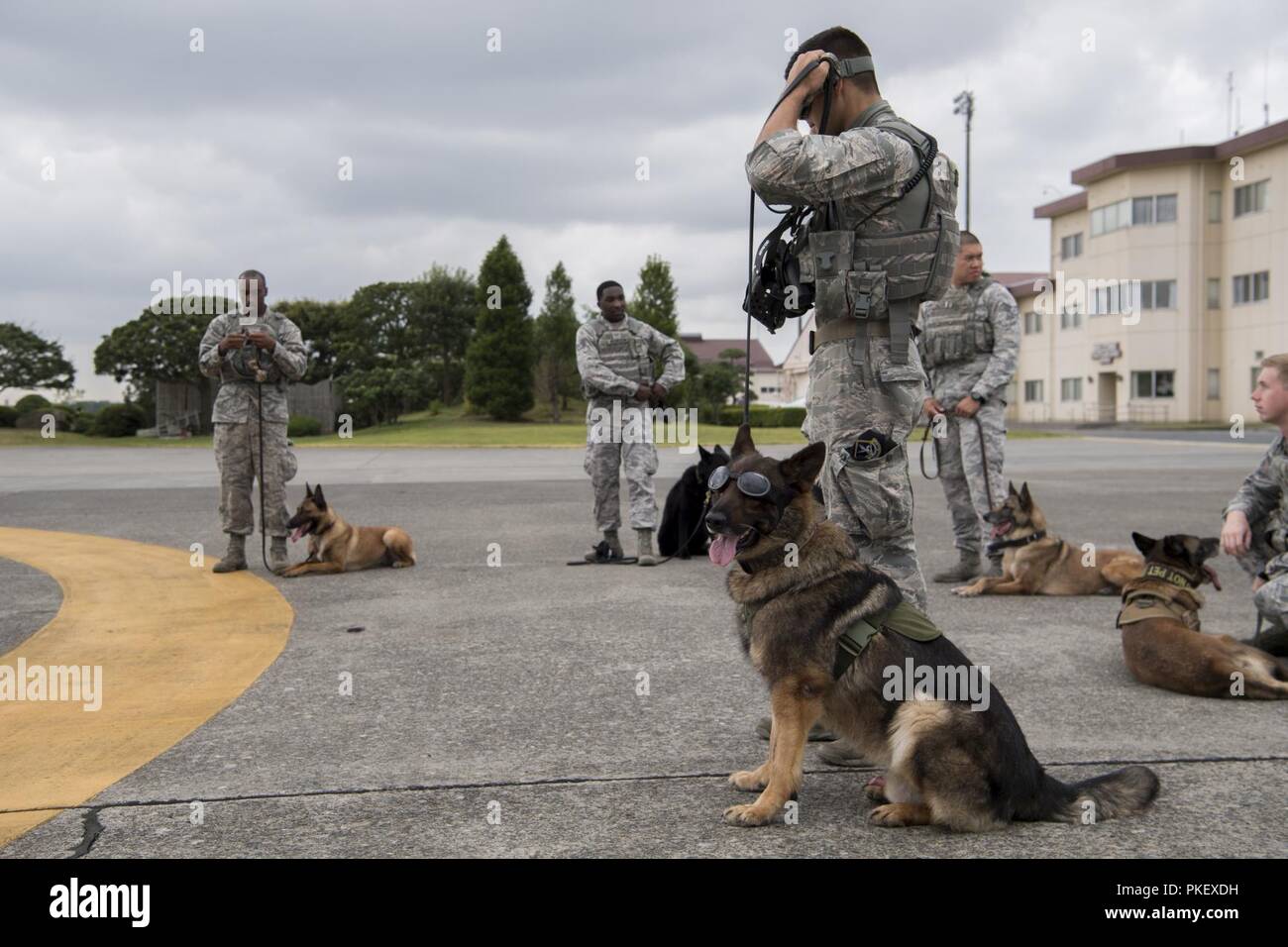 Staff Sgt. Travis Bell, 374th Security Forces Squadron military working ...