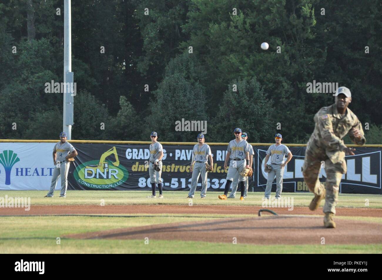 Bg beagle hi-res stock photography and images - Alamy