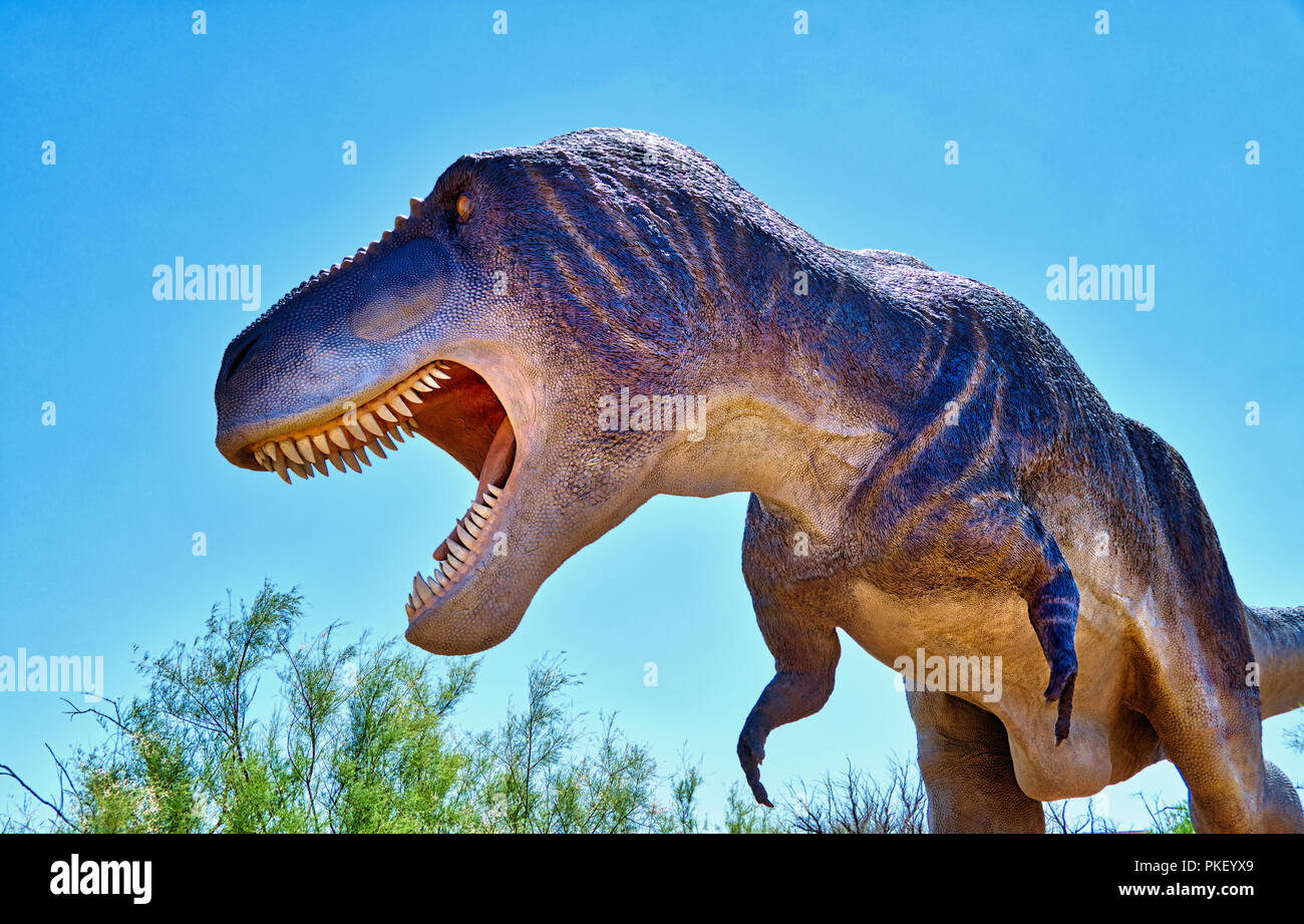 Hungry t rex hi-res stock photography and images - Alamy
