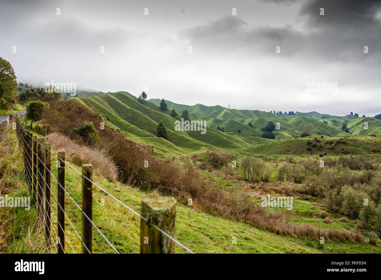Tahora saddle hi-res stock photography and images - Alamy