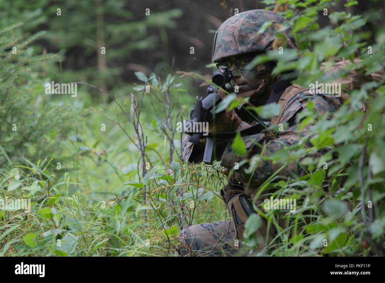 A U.S. Navy Corpsman with Charlie Company, 1st Battalion, 23rd Marine ...