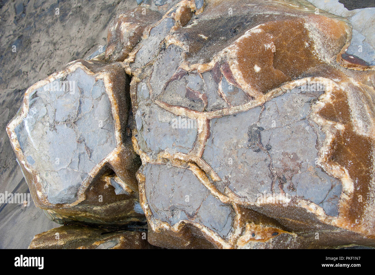 The Moeraki Boulders on Koekohe Beach, Otago, New Zealand. Close up ...