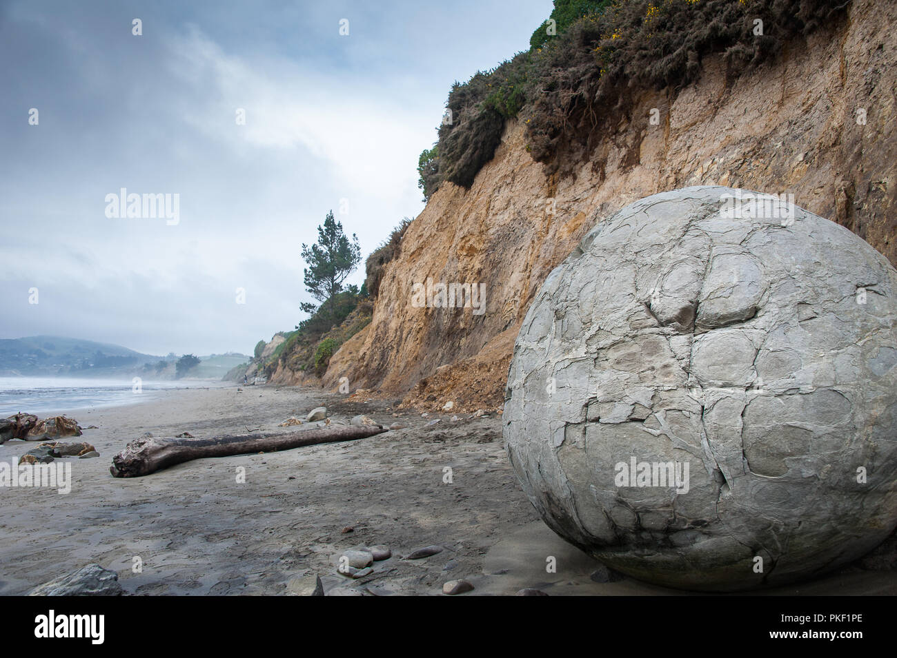Single round moeraki boulder hi-res stock photography and images - Alamy
