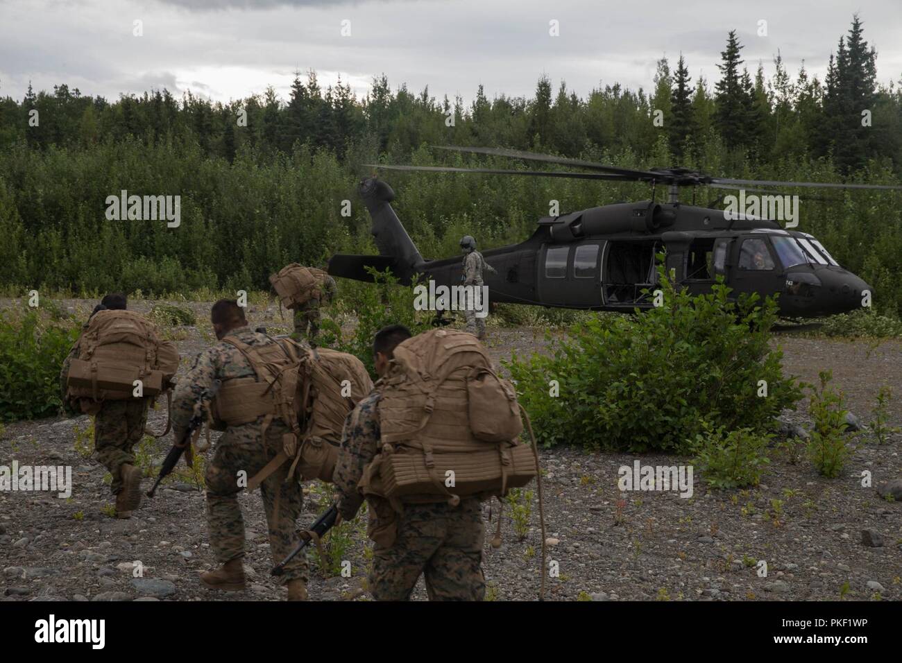 Marines with Charlie Company, 1st Battalion, 23rd Marine Regiment ...