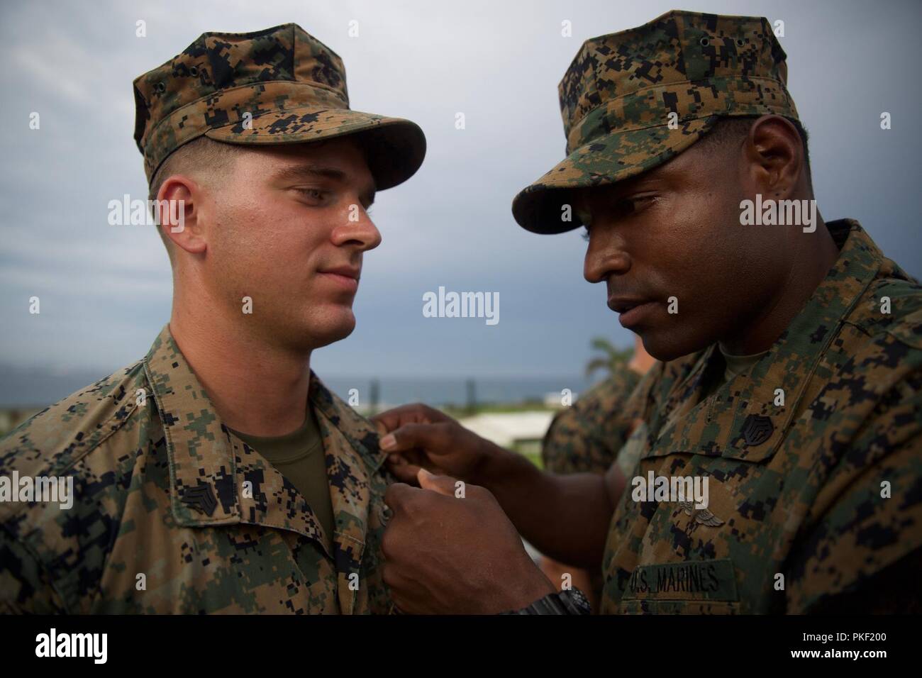 Iii mef sergeant major hi-res stock photography and images - Alamy