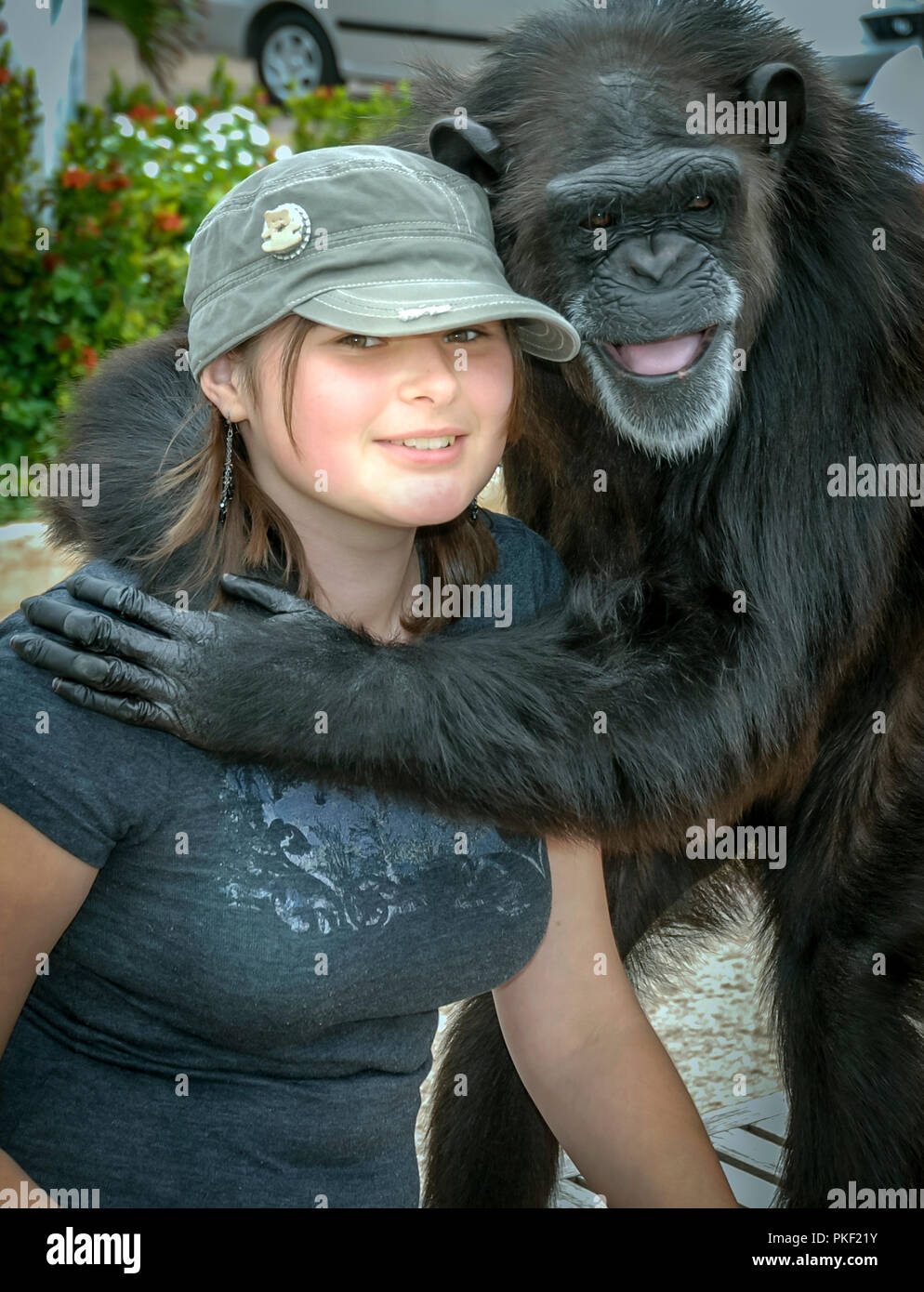 Lucy Chimpanzee Janis Hug Photo