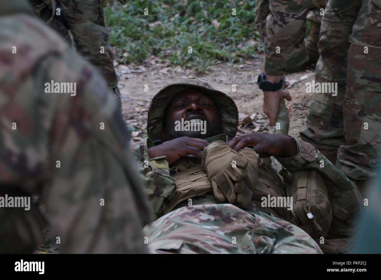 U.S. Army Soldiers practice tactical casualty evacuations at Jungle ...