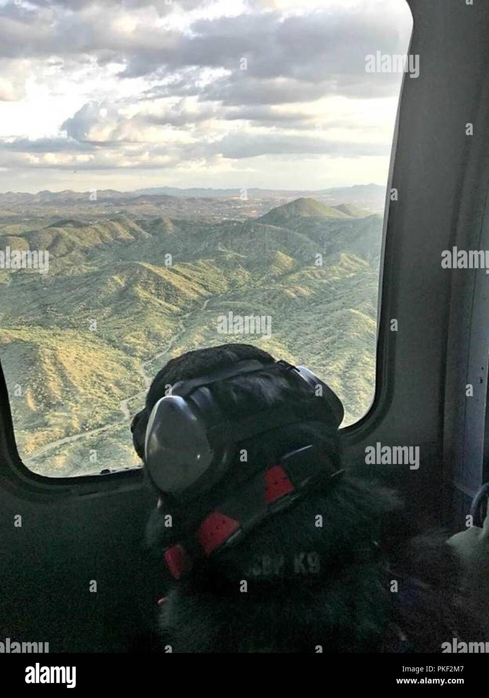 Border Patrol canine Nero enjoys the view from a UH-60 Blackhawk ...