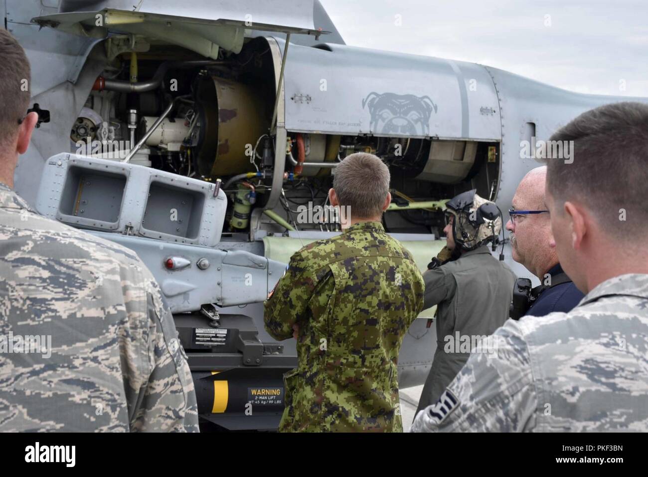 Firefighters from Alpena Combat Readiness Training Center and the Estonian air force participate ...