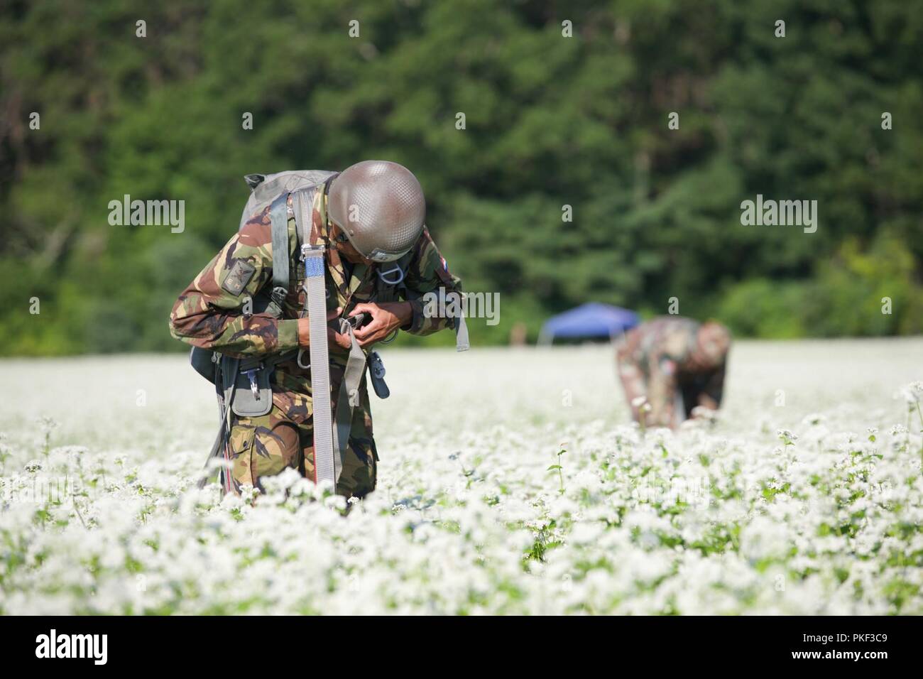 South african paratrooper hi-res stock photography and images - Alamy