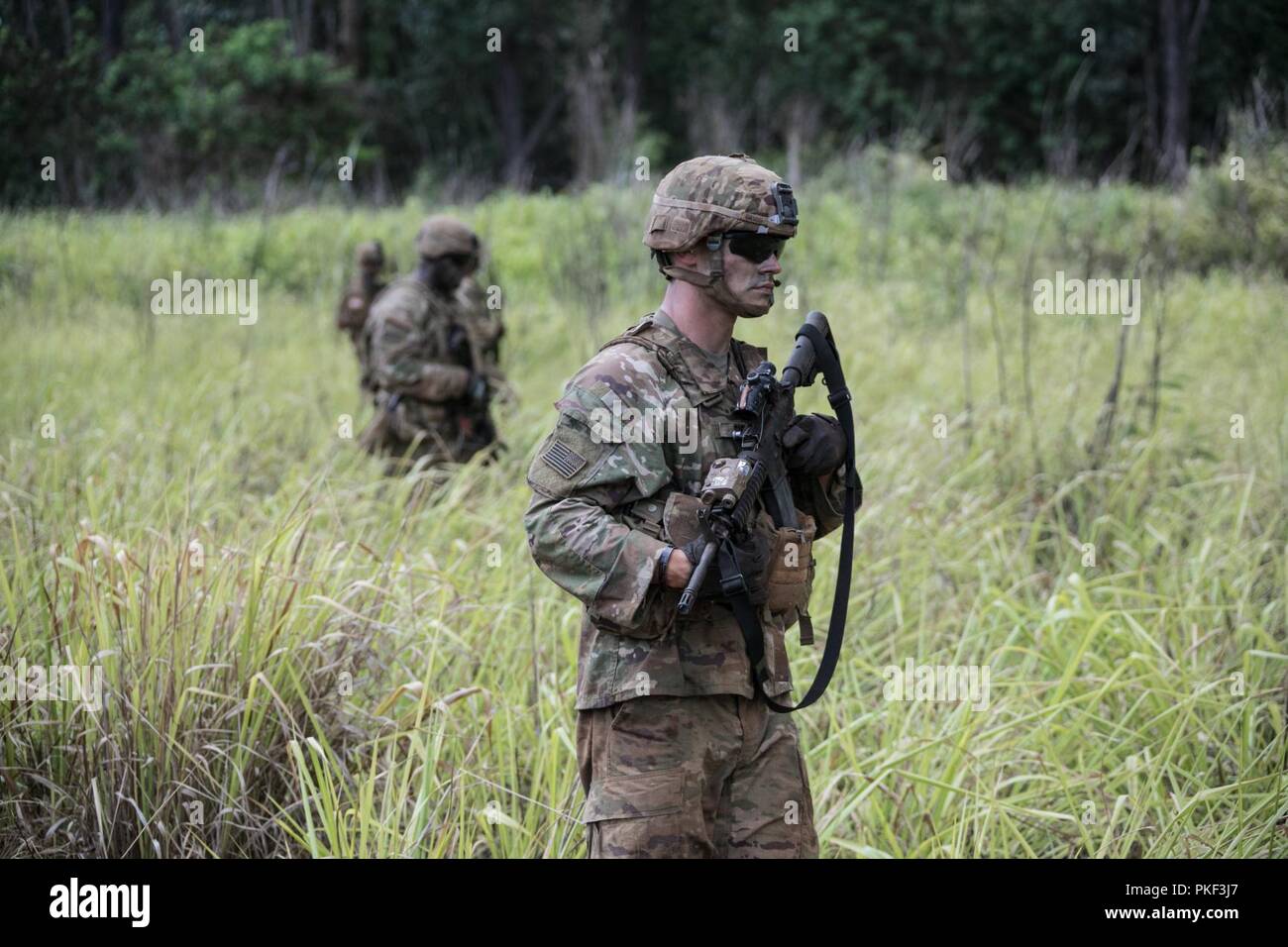 1 27 Infantry Battalion Wolfhounds High Resolution Stock Photography and Images - Alamy
