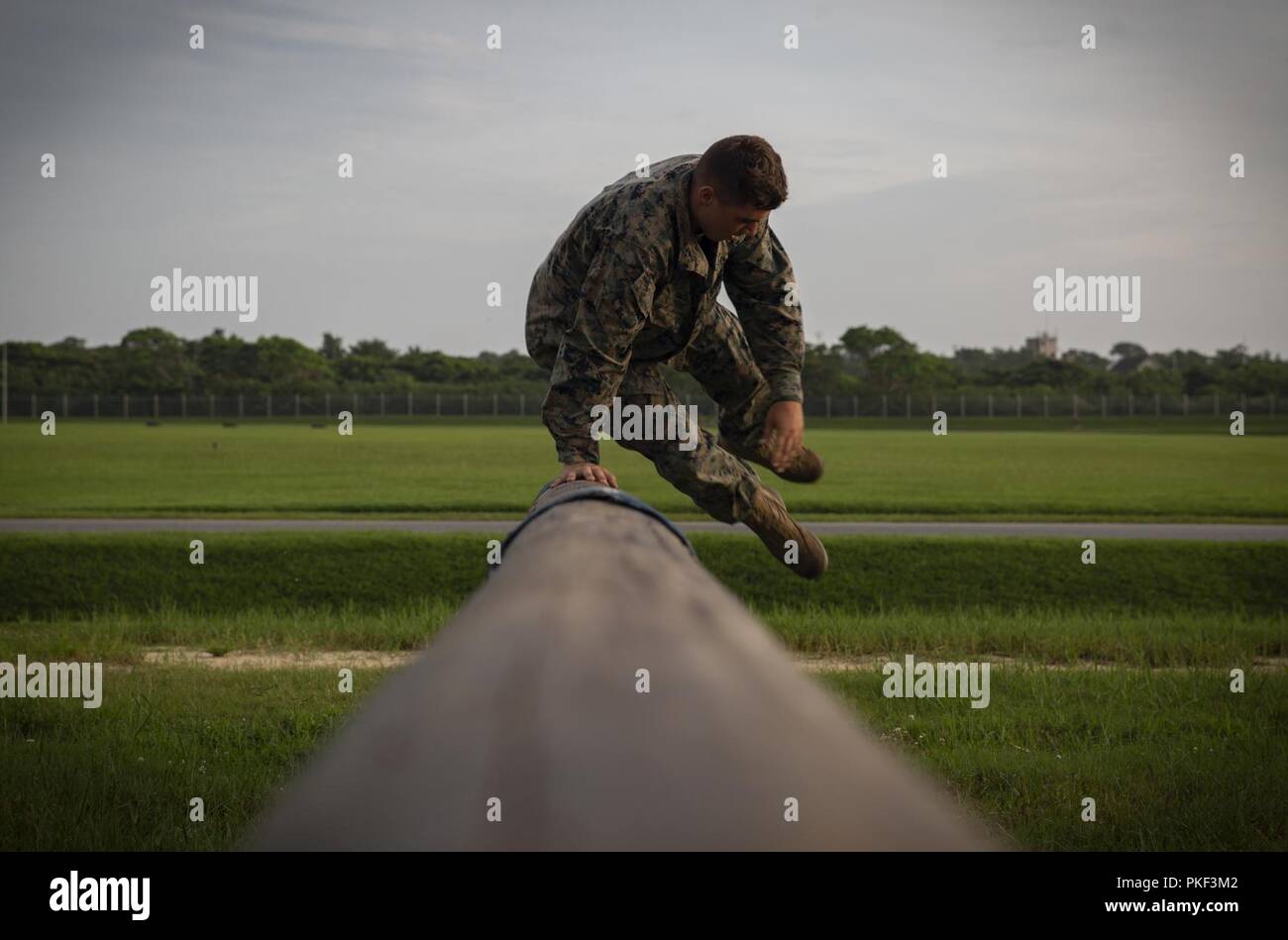A Marine with Marine Wing Support Squadron 172, Marine Aircraft Group ...