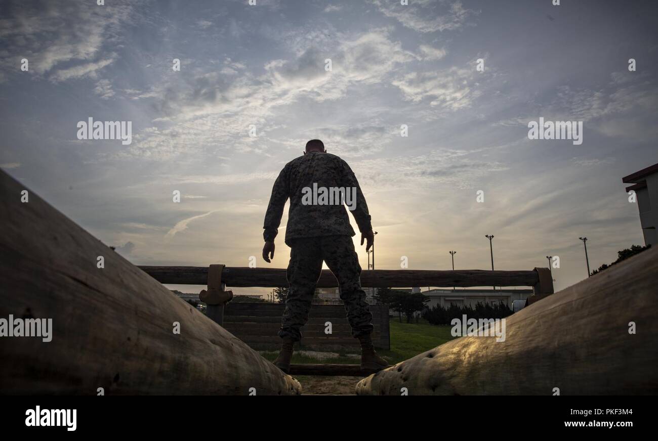 A Marine with Marine Wing Support Squadron 172, Marine Aircraft Group ...