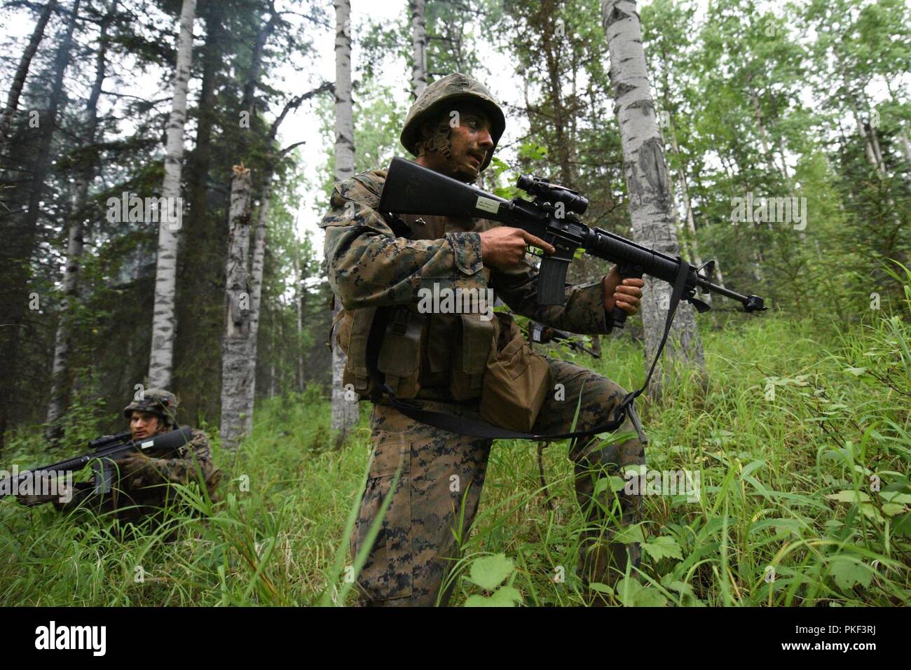 Marines with 3rd Battalion, 23rd Marine Regiment, ambush an opposing ...
