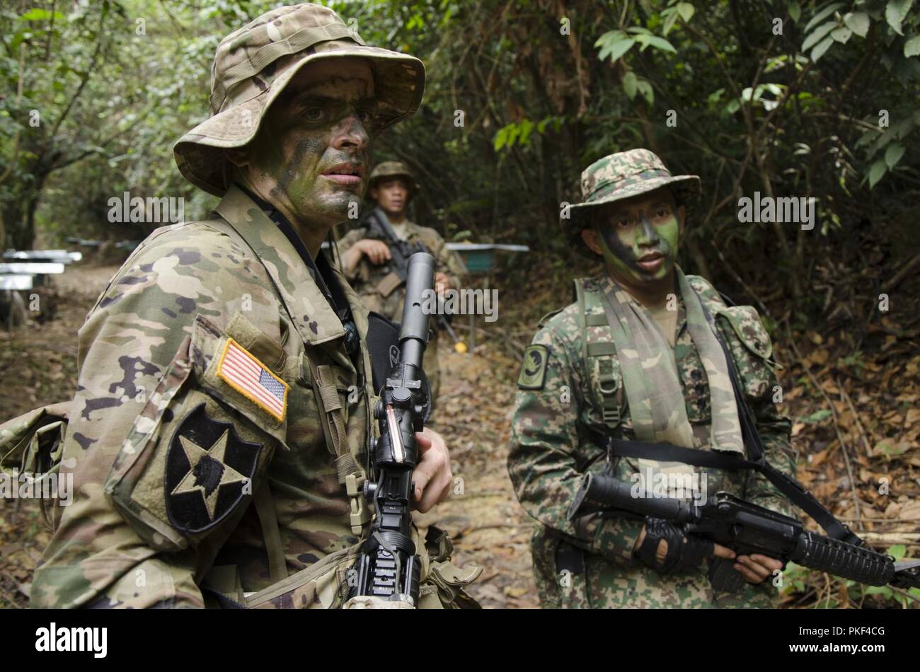 Cpt. Timothy Shea, Charlie Company, 100th Battalion, 442nd Infantry ...