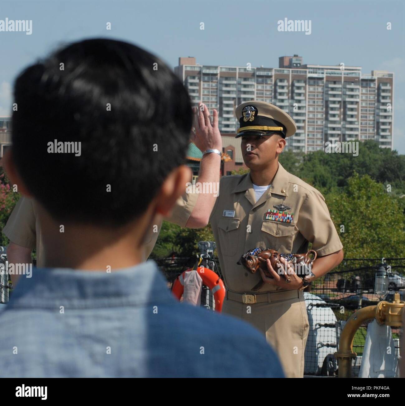 Bull Ensign High Resolution Stock Photography and Images - Alamy