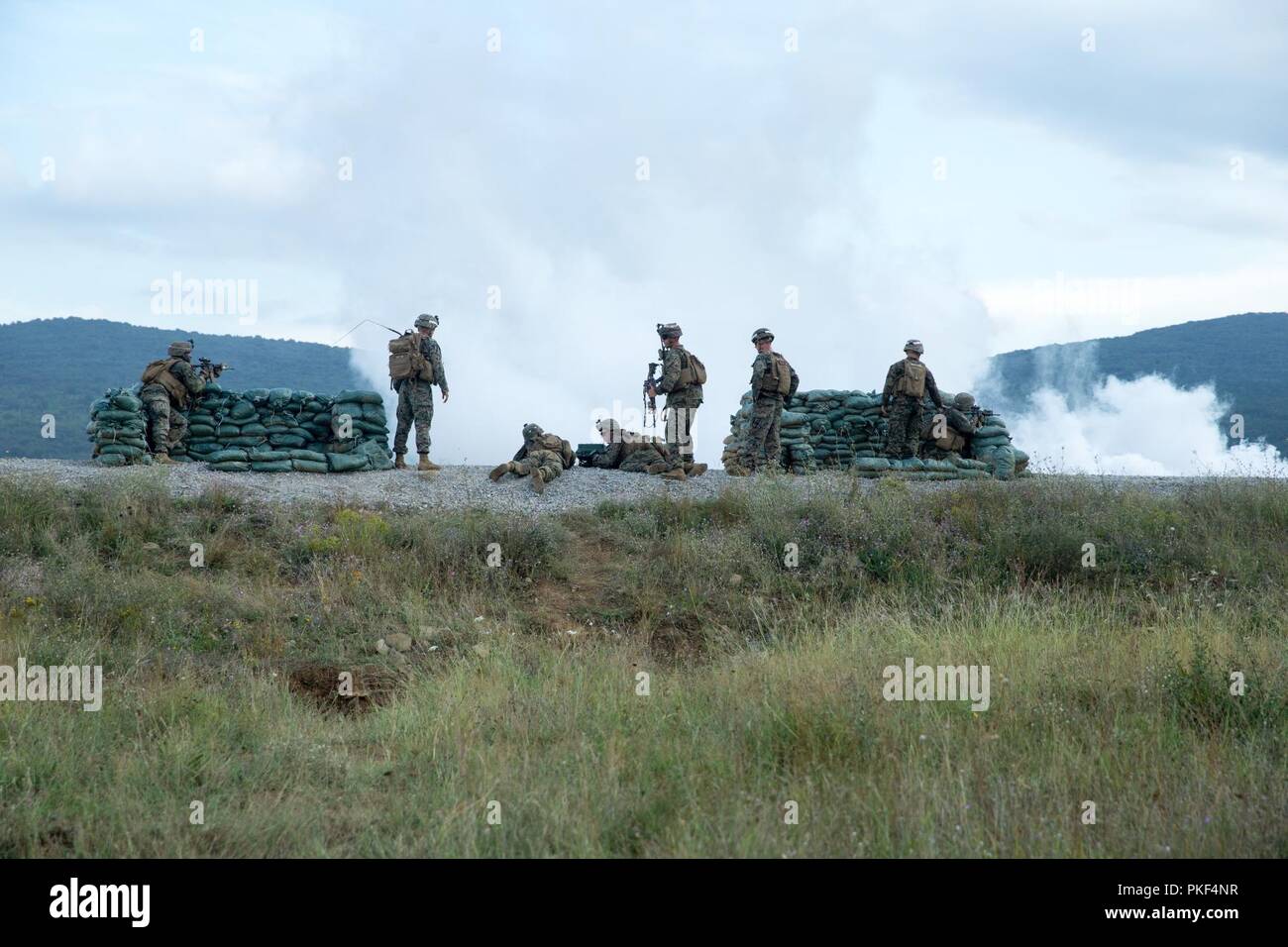 U.S. Marines with Black Sea Rotational Force (BSRF) 18.1 assemble an ...