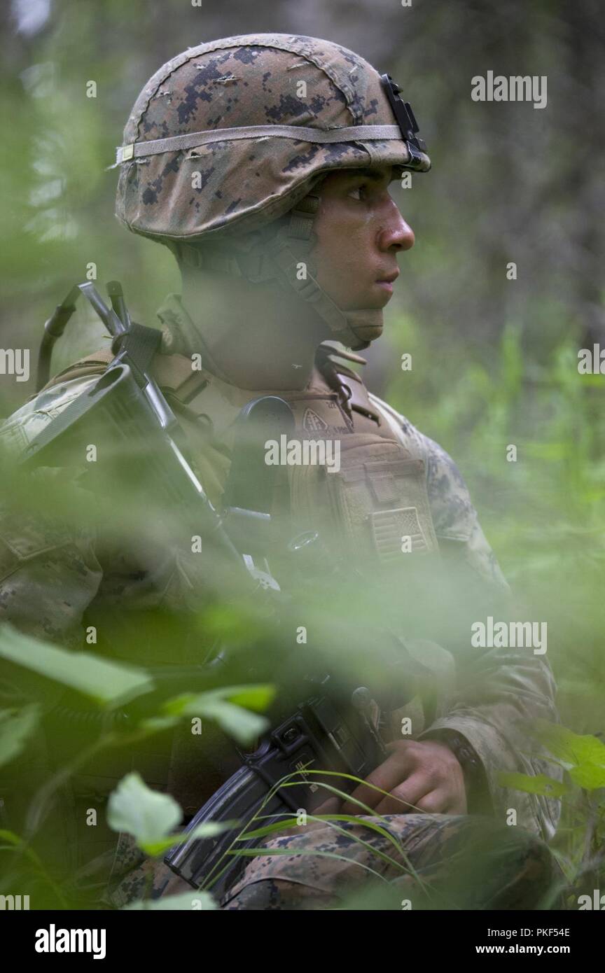 U.S. Marine Corps Sgt. James Ellis, the 3rd squad leader representing ...