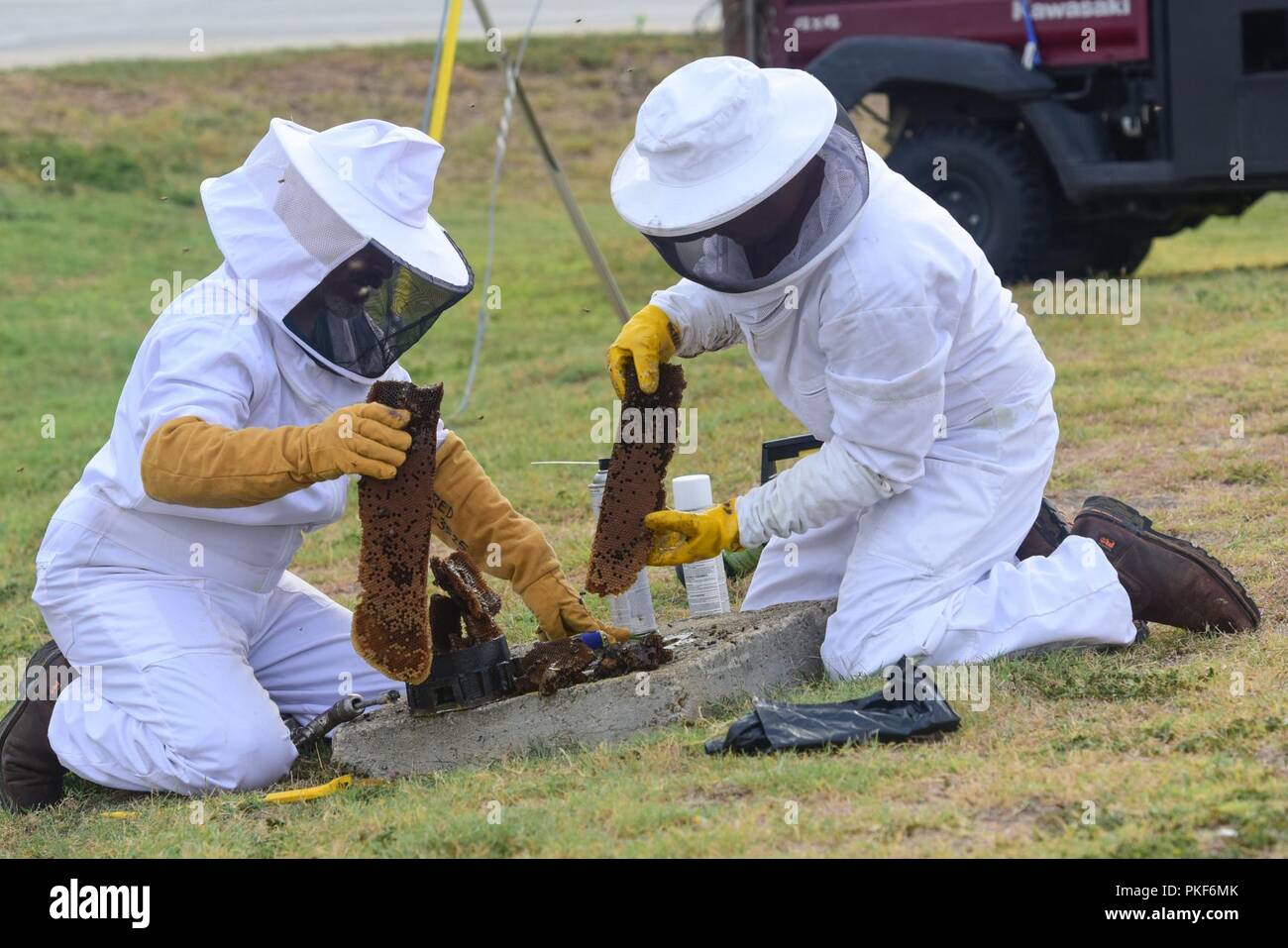 Remove pests hi-res stock photography and images - Alamy