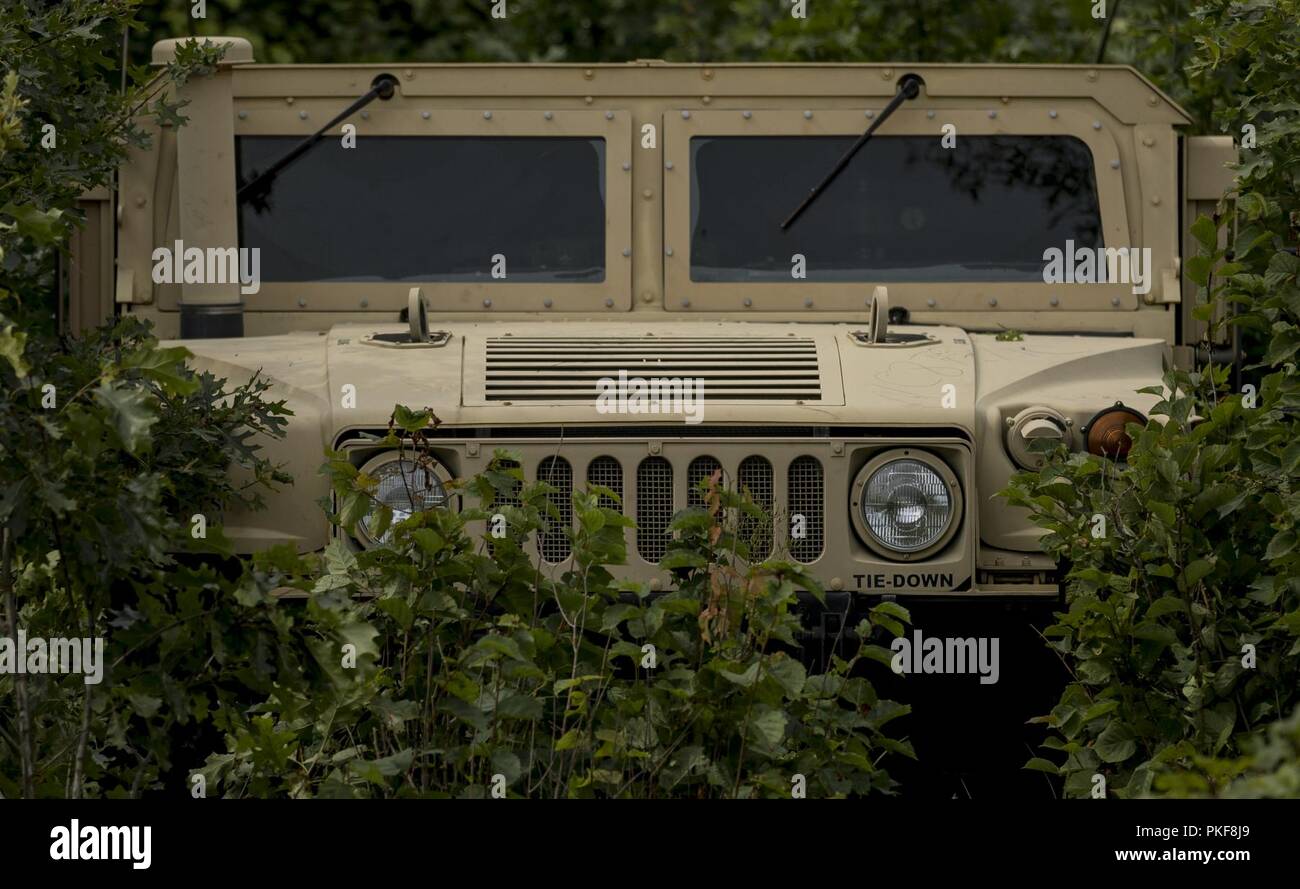 Us army medical units hi-res stock photography and images - Alamy