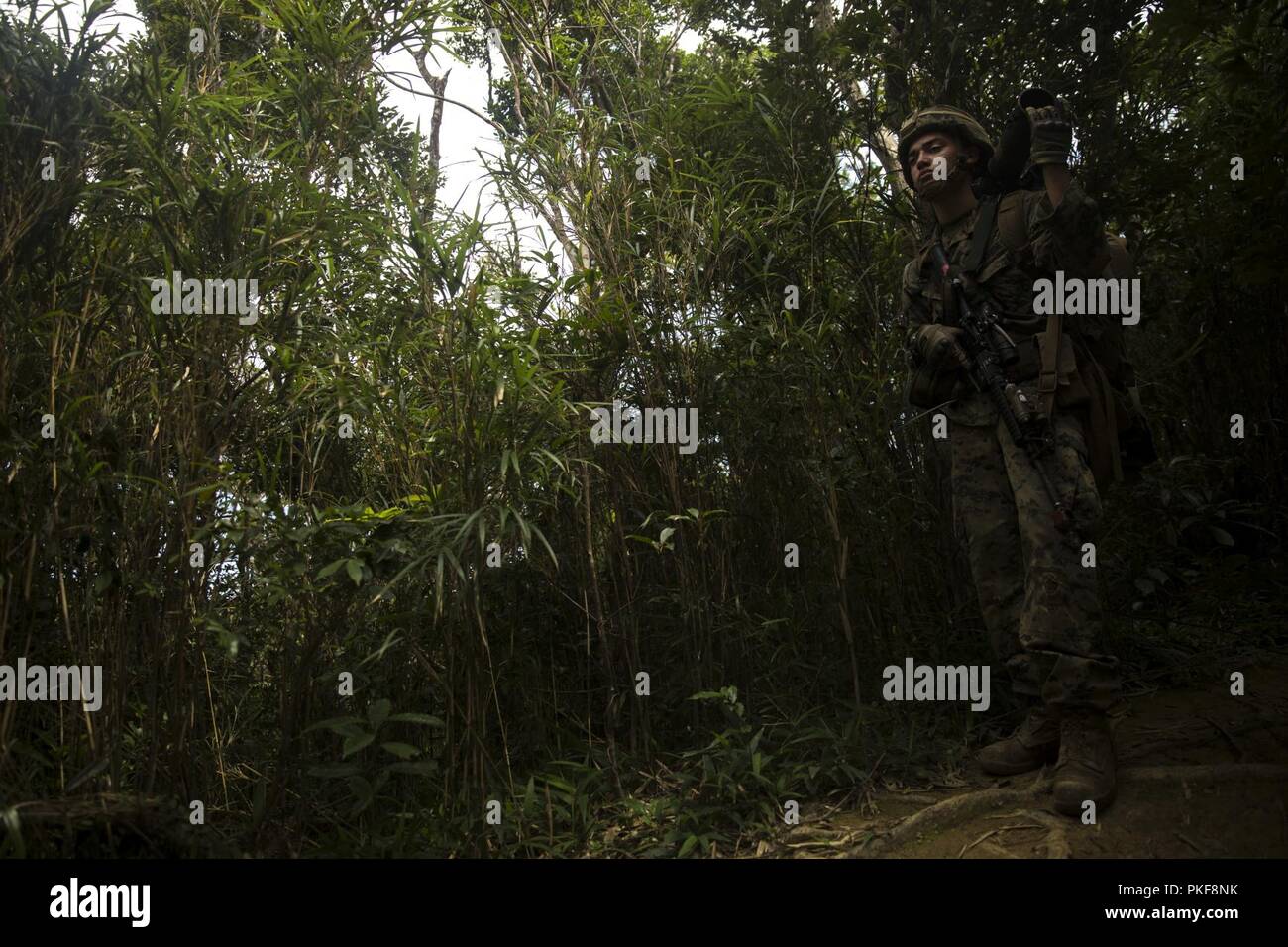 Jungle Operations Training Center High Resolution Stock Photography and ...