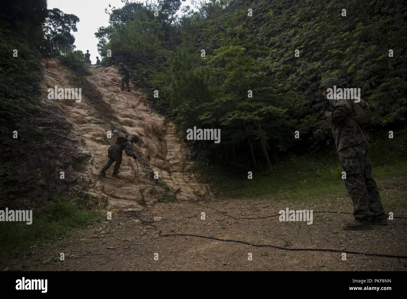 Jungle operations training center hi-res stock photography and images ...