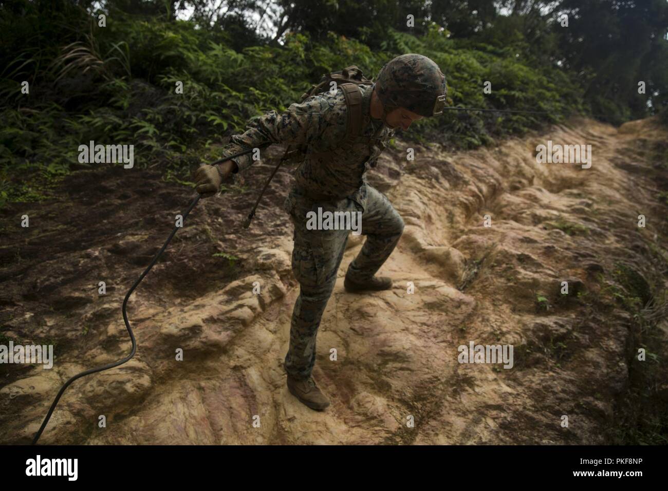 Jwtc jungle warfare training center hi-res stock photography and images ...
