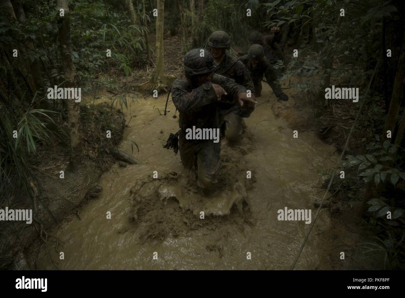 Marines with Echo Company, Battalion Landing Team, 2nd Battalion, 5th ...
